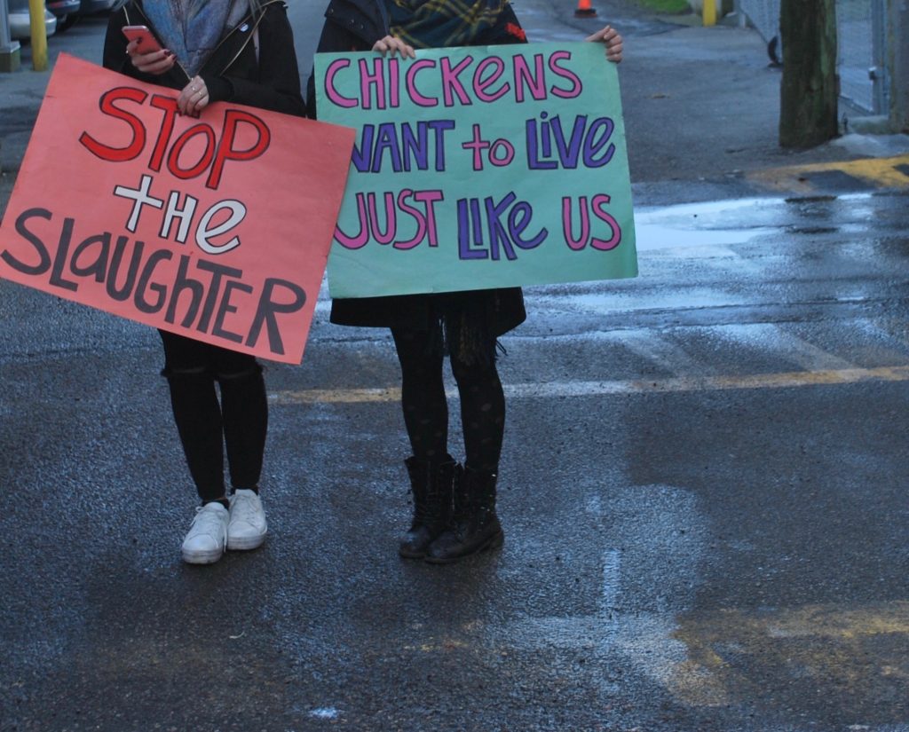 Vegan activists in Vancouver raise awareness for animal rights at local ...