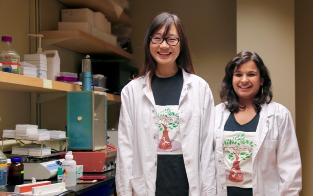 From chemical reaction to climate action, how chemists bring ...