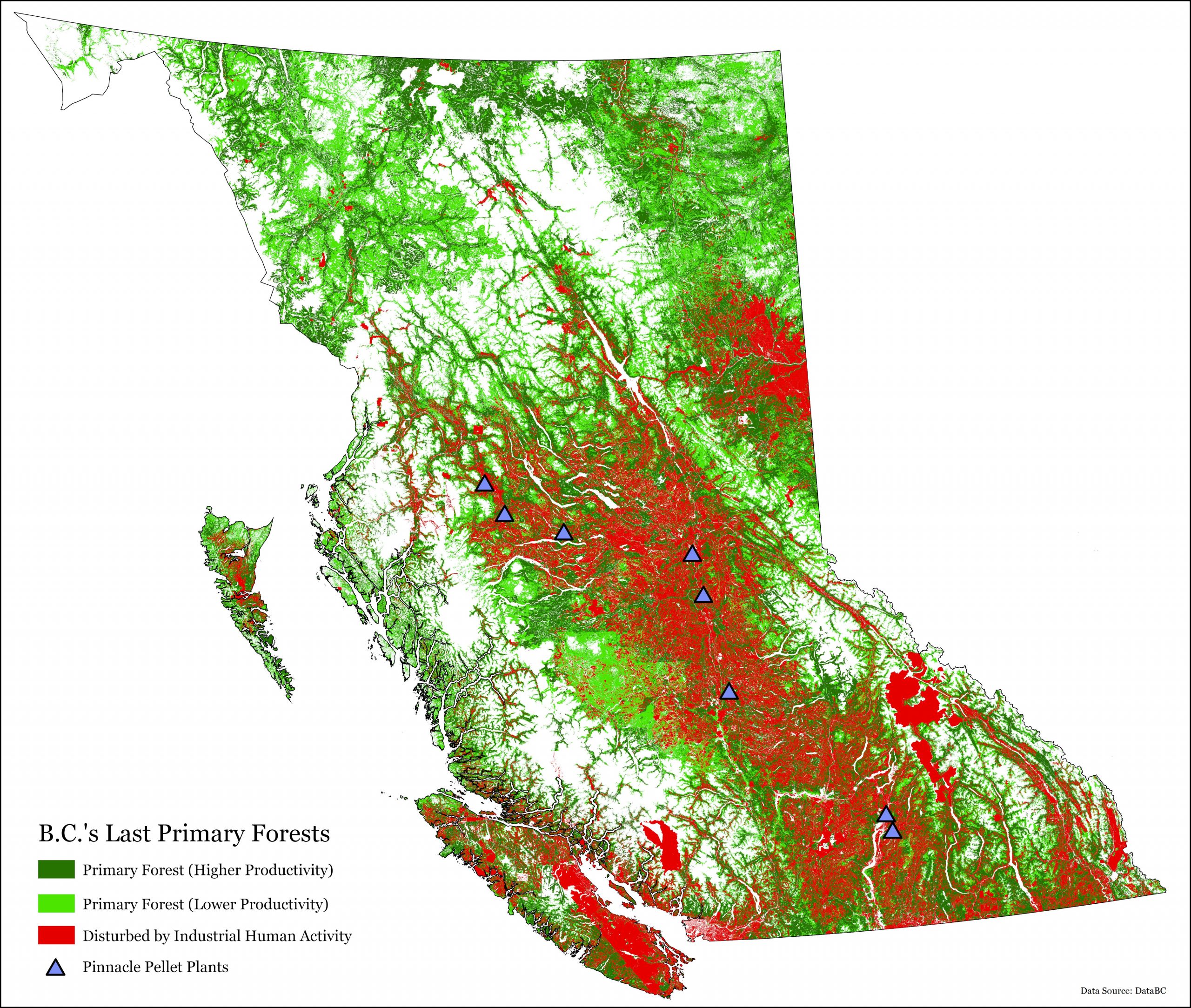 The little-known pipeline from B.C. forest to U.K. furnace is growing